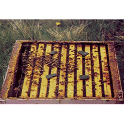 Lotta alle patologie: Api Life Var - Per la Varroa